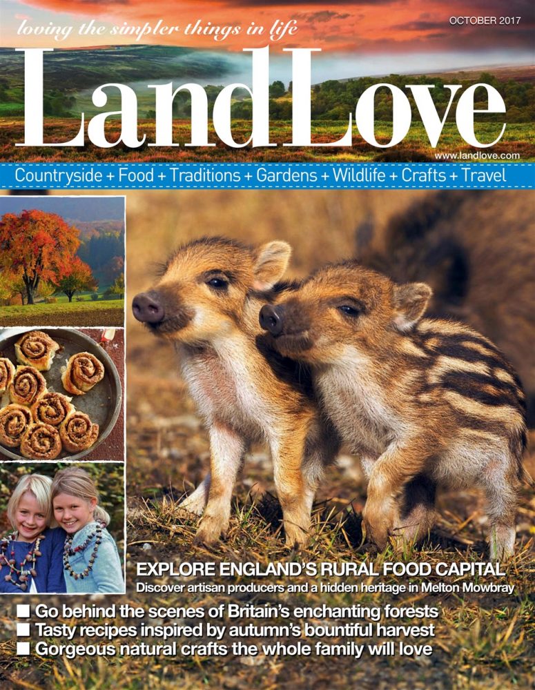 Get cosy with our 5 favourite Autumn magazines | magazine.co.uk